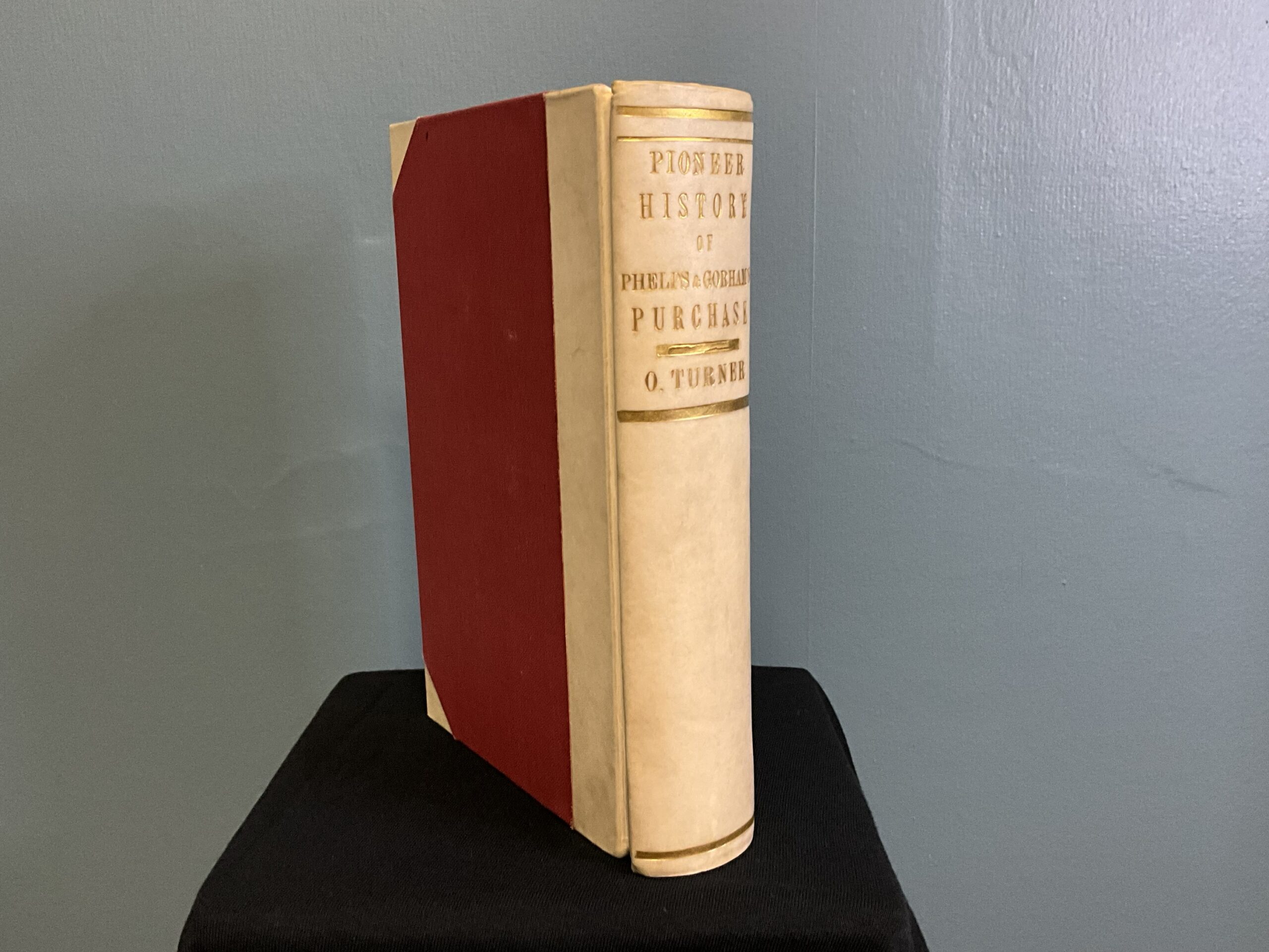 History of the Pioneer Settlement of Phelps and Gorham's Purchase, and ...
